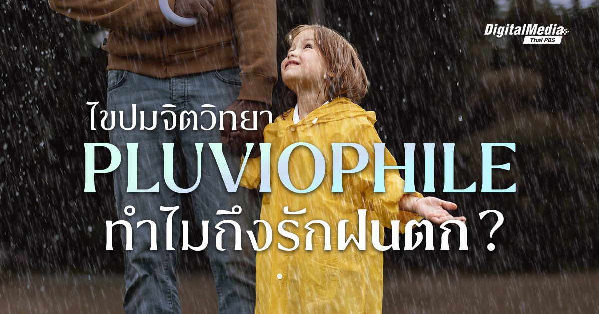 ไขปมจิตวิทยา ‘รักฝนตก (Pluviophile)’ เป็นอย่างไร ? | Thai PBS NOW