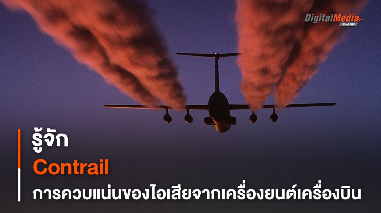รู้จัก Contrail การควบแน่นของไอน้ำจากเครื่องยนต์ของเครื่องบิน | Thai PBS NOW