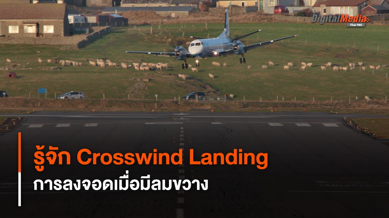 รู้จัก Crosswind Landing การลงจอดในขณะที่มีลมขวาง | Thai PBS NOW
