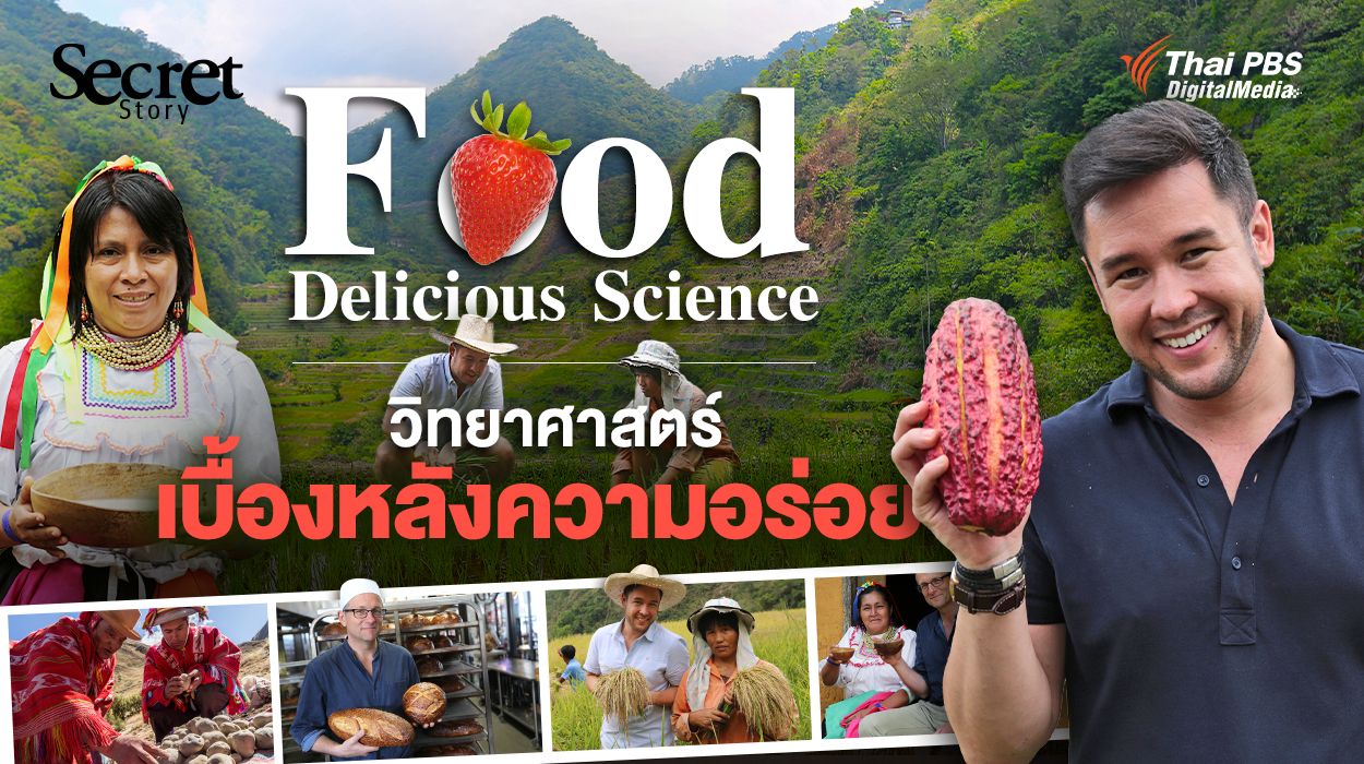 Secret Story | Food Delicious Science วิทยาศาสตร์เบื้องหลังความอร่อย ...