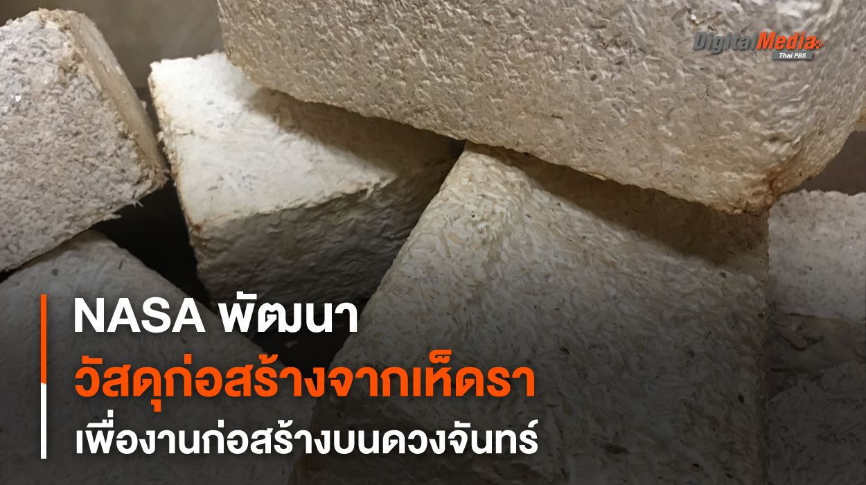 NASA กับการพัฒนาสิ่งปลูกสร้างสำหรับนักบินอวกาศจากเห็ดรา | Thai PBS NOW