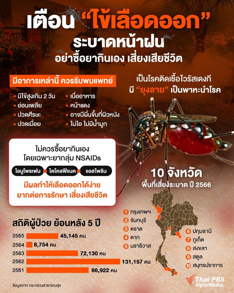 เป็นไข้หน้าฝนอย่าชะล่าใจ เทียบอาการ “โควิด-19 Vs ไข้เลือดออก” | Thai PBS NOW