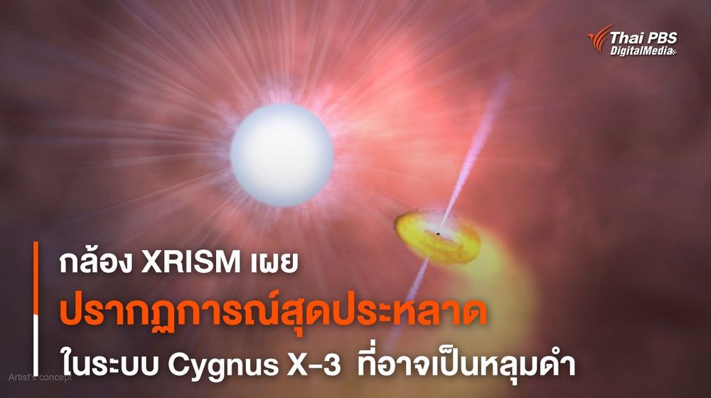Cygnus X 3 Xrism